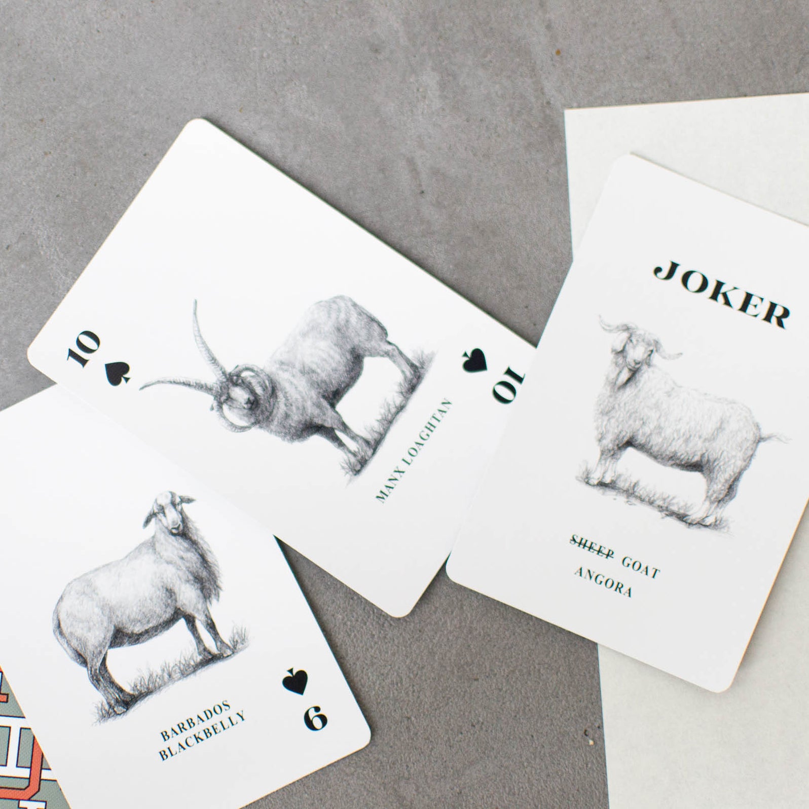 SHEEP PLAYING CARDS — ANTRY USE ONLY GENUINE
