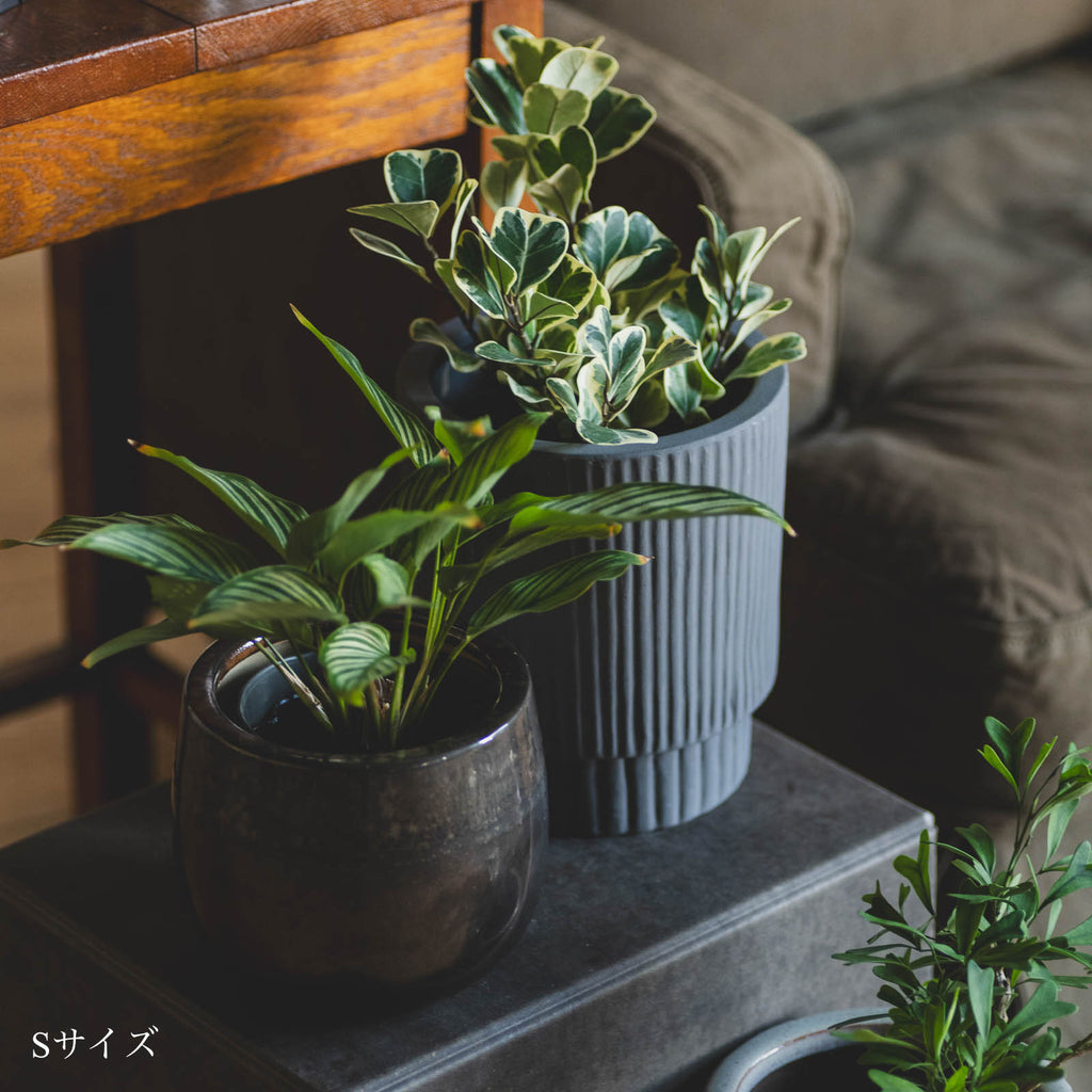 ANTRY POTTERY SERIES — ANTRY USE ONLY GENUINE