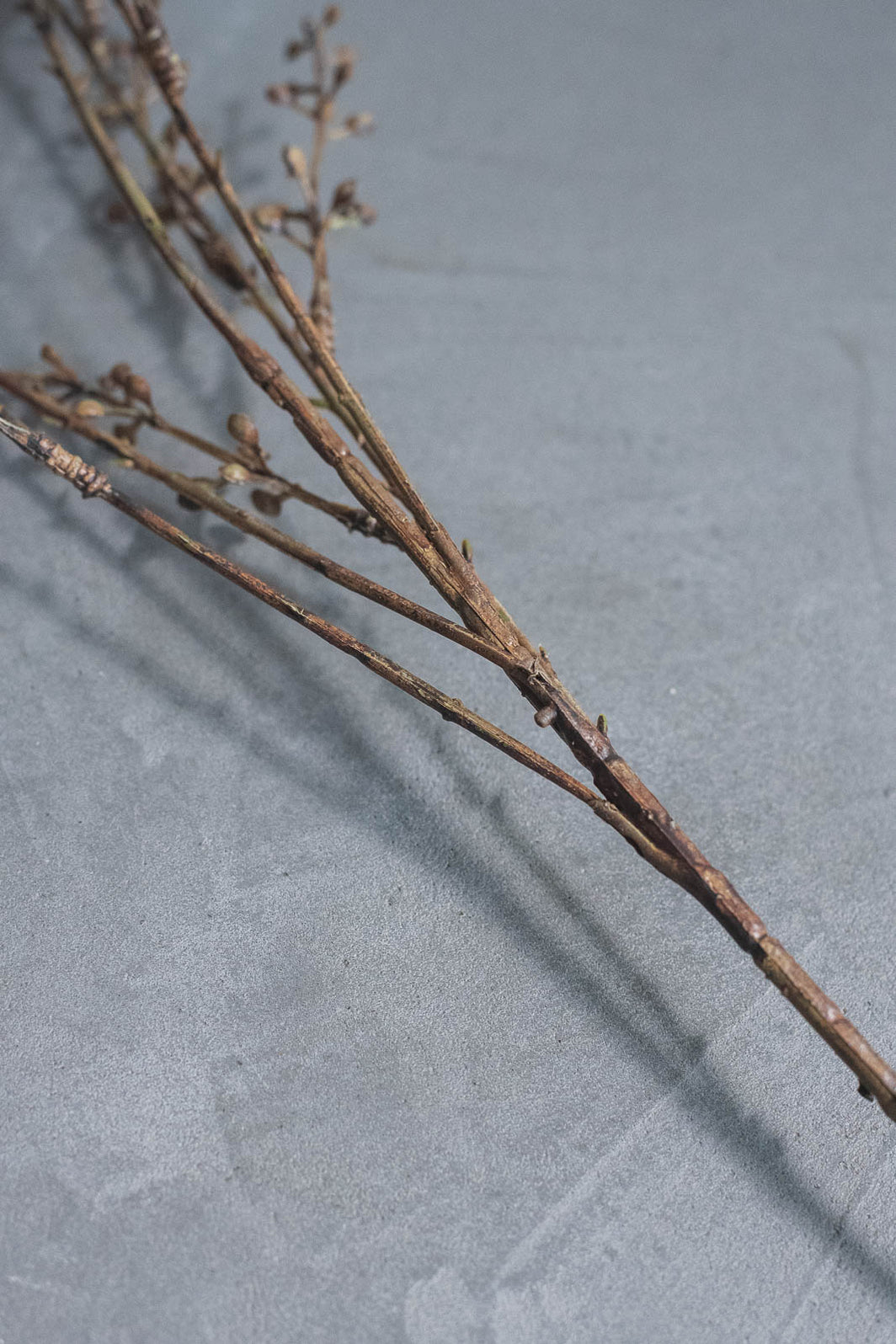 ベリーブランチ 88cm ブラウン | フェイクブランチ — ANTRY USE ONLY GENUINE