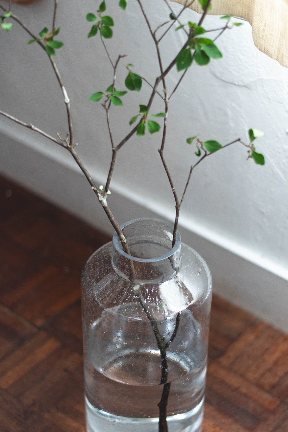 Fizzy Still H33cm | フラワーベース — ANTRY USE ONLY GENUINE