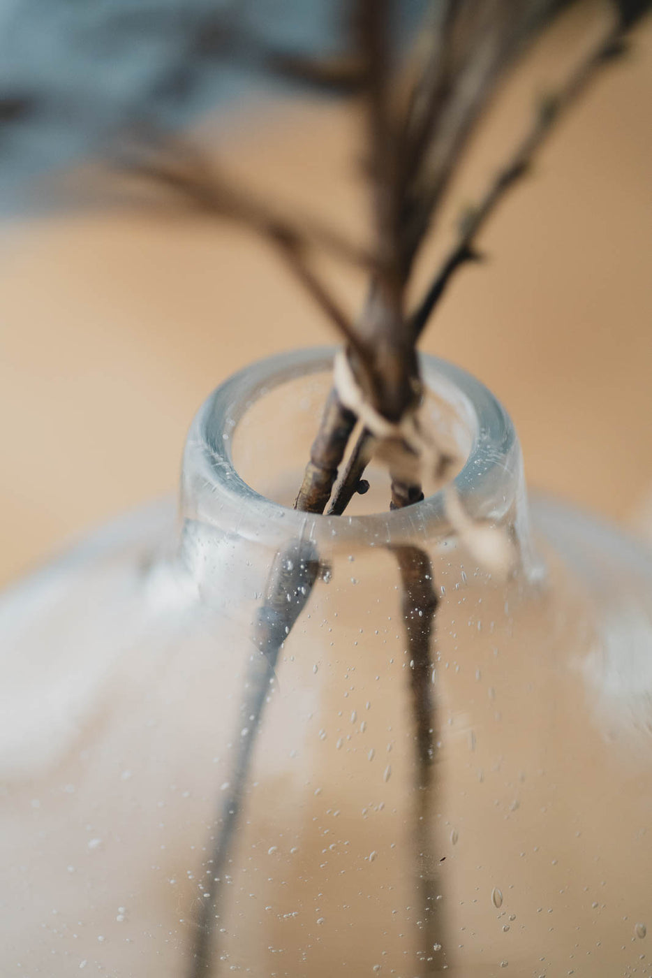 Fizzy Bulb H26cm | フラワーベース — ANTRY USE ONLY GENUINE