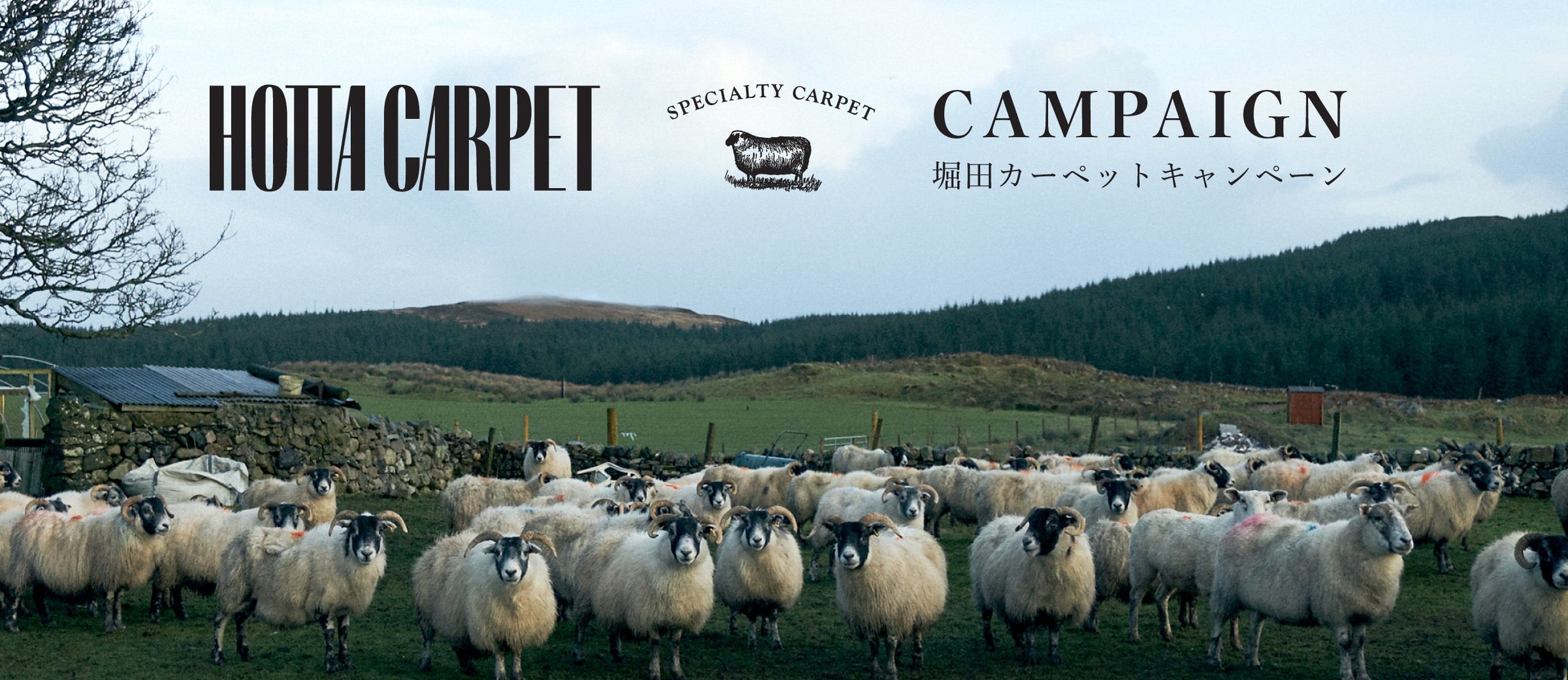 ANTRY｜アントリー — ANTRY USE ONLY GENUINE