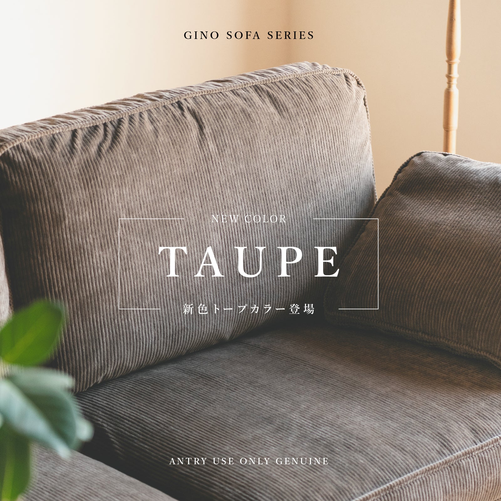 ANTRY — ANTRY USE ONLY GENUINE