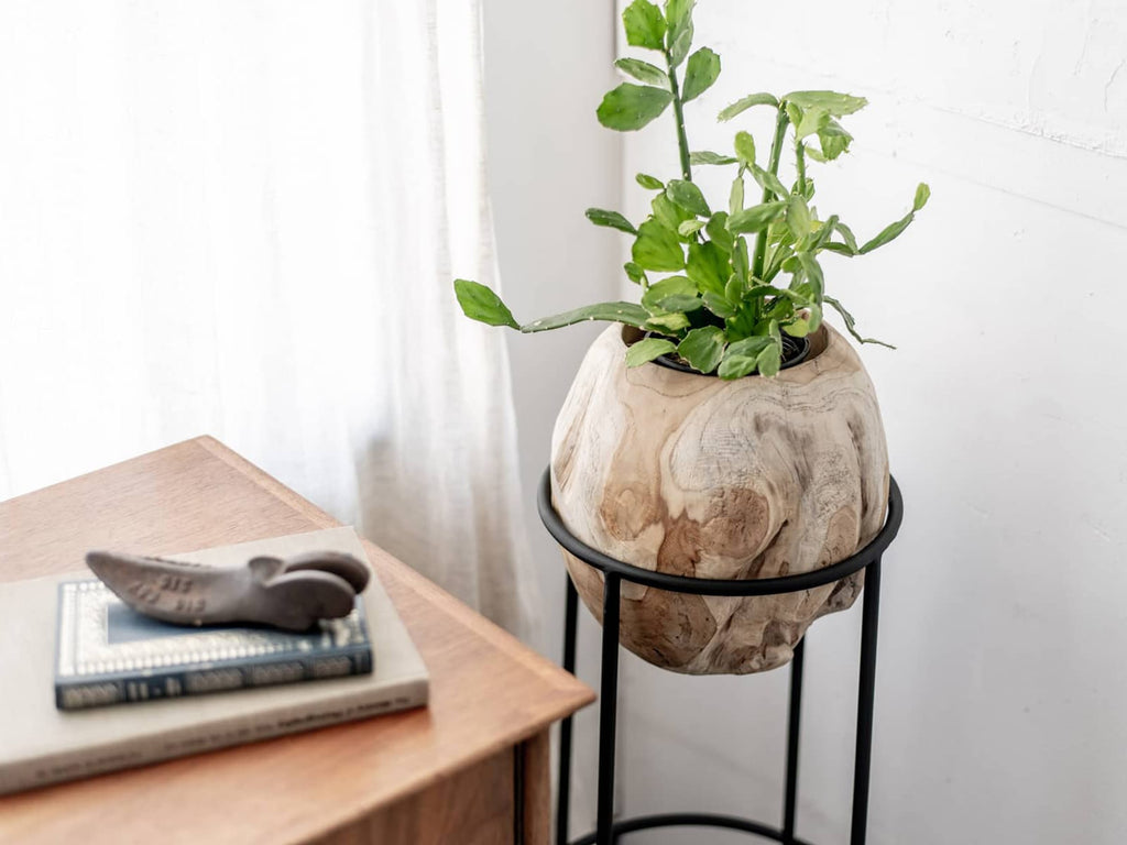 ANTRY — ANTRY USE ONLY GENUINE